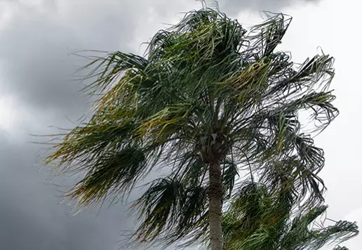Wind and Storm Damage Restoration and Response | Sunbelt Rentals