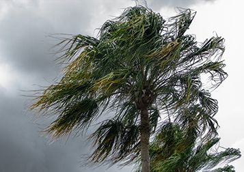 Wind and Storm Damage Restoration and Response | Sunbelt Rentals