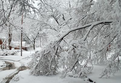 Winter Storm Damage Restoration and Response | Sunbelt Rentals