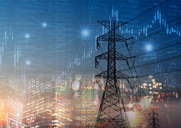 What is the Institution of Electrical and Electronics Engineers (IEEE)?